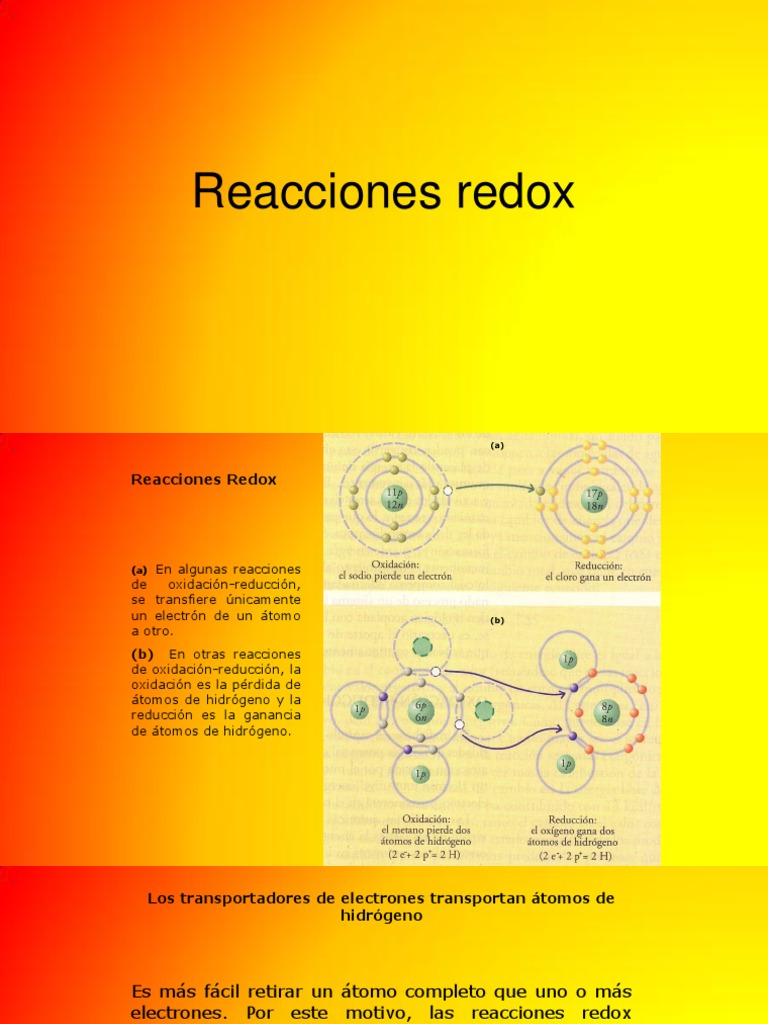 Reacciones Redox Completo | Fotosíntesis | Bioquímica