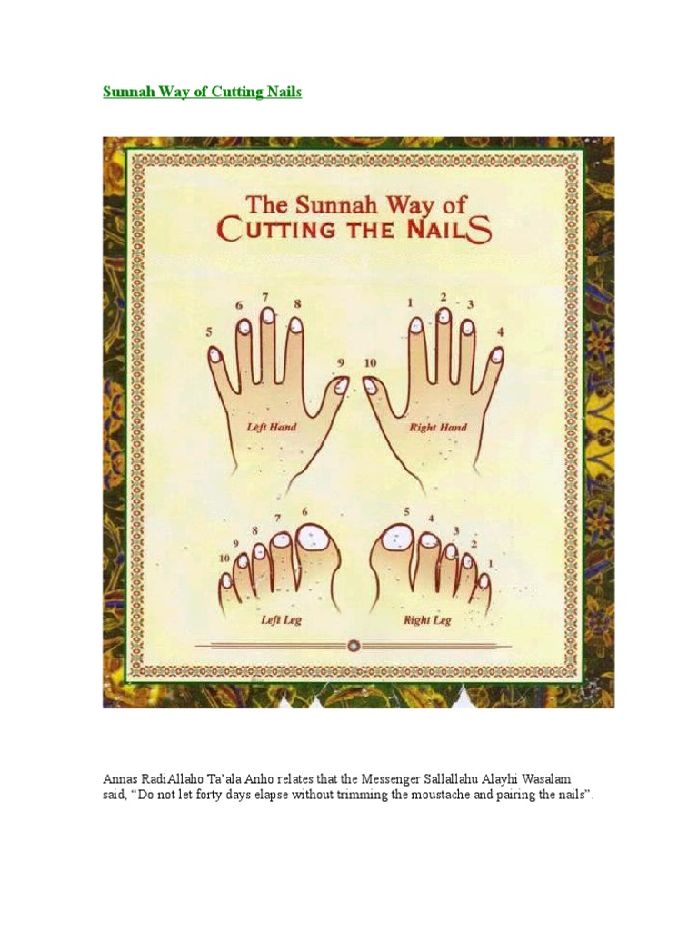 Sunnah Way of Cutting Nails | PDF | Prophets And Messengers In Islam ...
