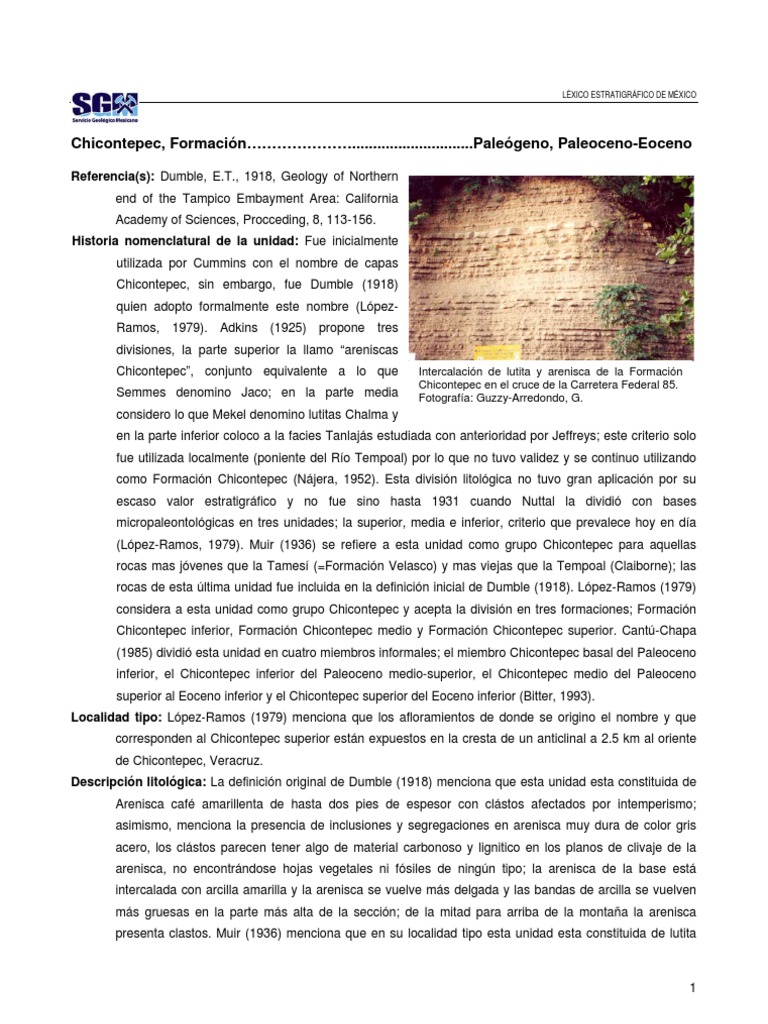 Chicontepec, Formación, Paleógeno, Paleoceno-Eoceno | PDF | Taxonomía ...