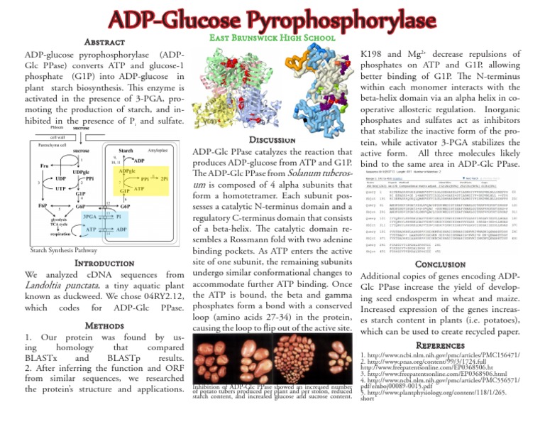 ADP-Glucose Pyrophosphorylase | PDF | Adenosine Triphosphate | Protein ...