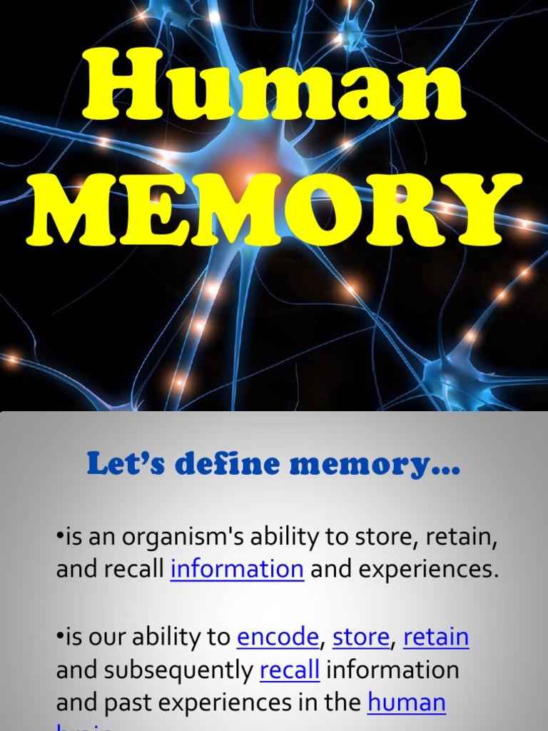 Human Memory | PDF | Memory | Recall (Memory)