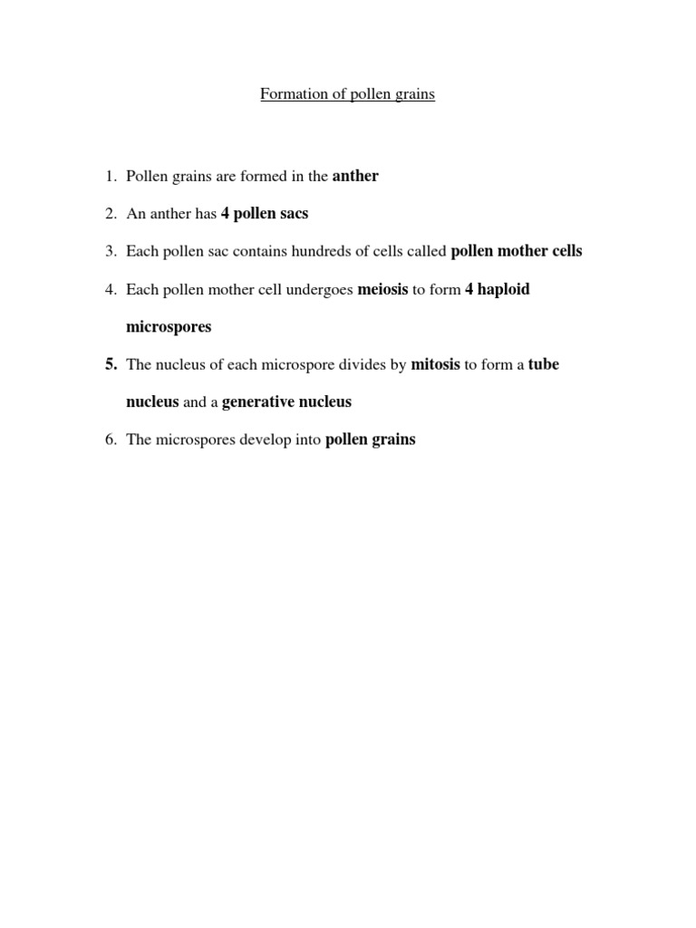 Pollen Grain Formation Process | PDF | Pollen | Biology