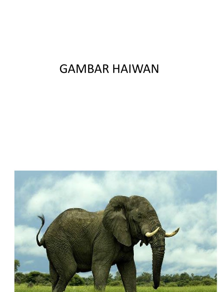 Gambar Haiwan | PDF