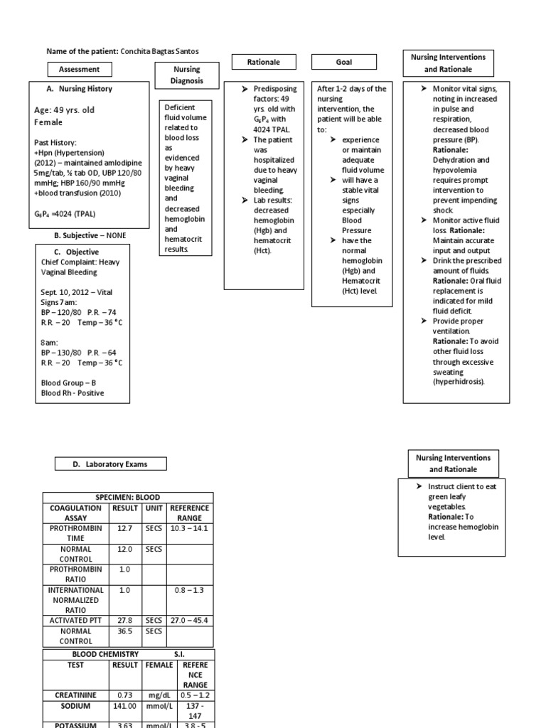 OB Nursing Care Plan | PDF | Bleeding | Animal Physiology