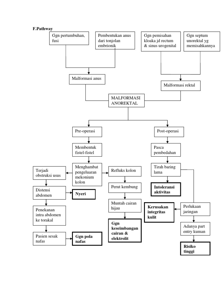Pathway | PDF | Sains & Matematika