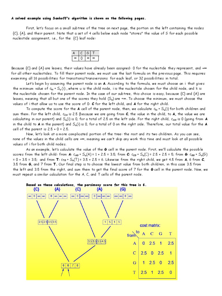 A Solved Example Using Sankoff's Algorithm | PDF | Computer Programming | Mathematical Concepts