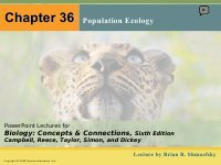 Population Ecology: Biology: Concepts & Connections | PDF | Resource ...