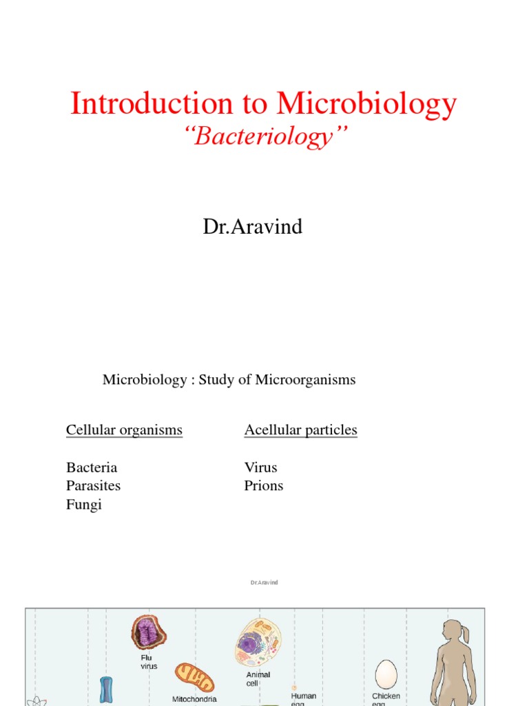 Introduction To Microbiology | PDF | Archaea | Bacteria