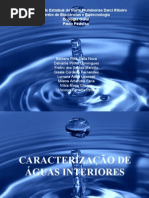 Apendice-D - Cálculo Do IQA CETESB 2022 | PDF | Qualidade da água | Água