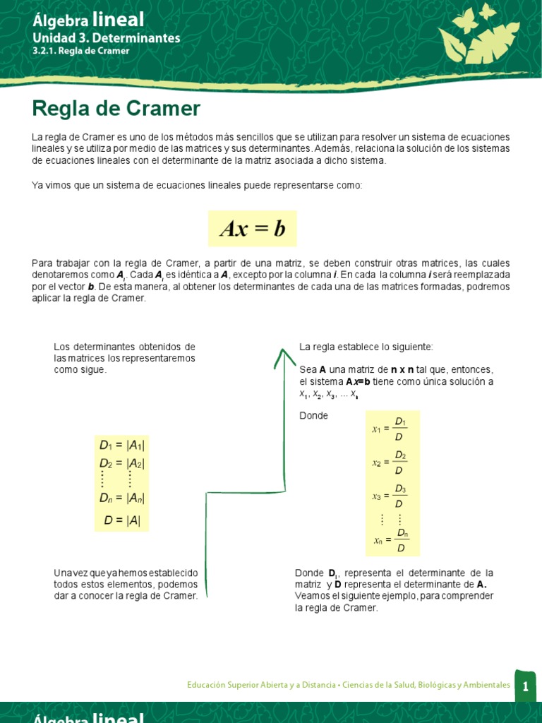 Aplicación de la Regla de Cramer | PDF | Determinante | Sistema de ...