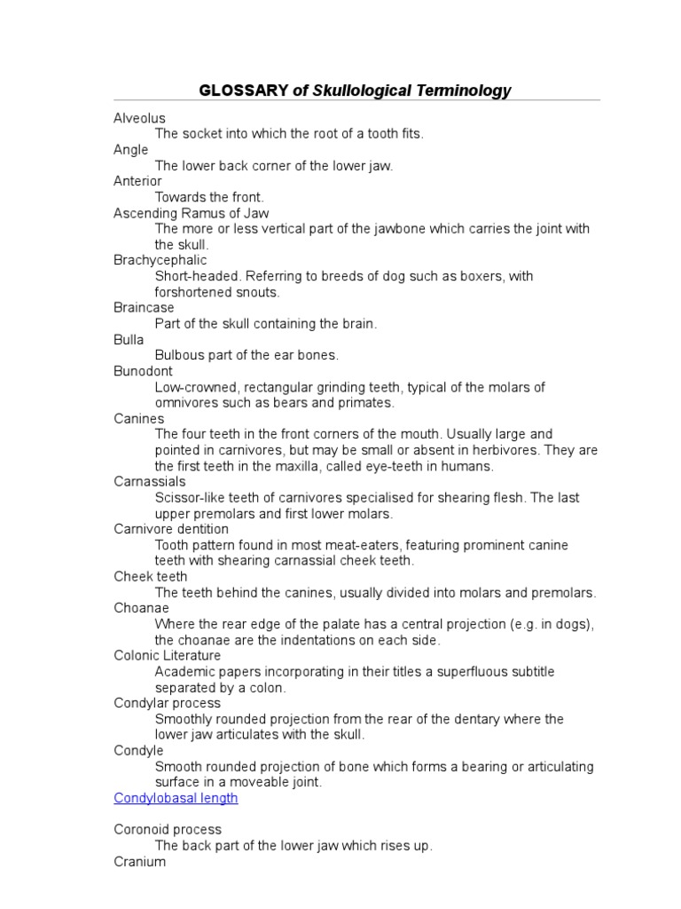 GLOSSARY of Skullological Terminology | PDF | Tooth | Skull