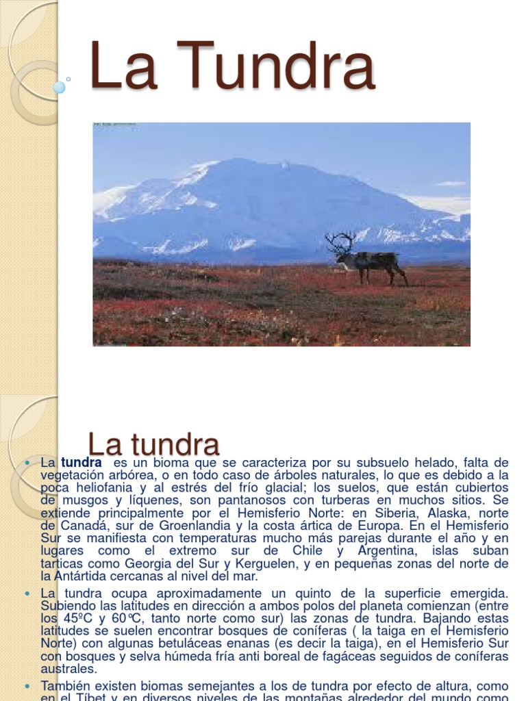 La Tundra | PDF | Biogeografia | Ciencias de la Tierra