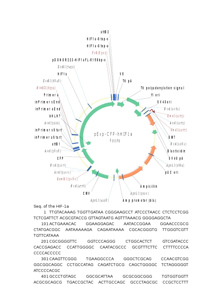 Maps of Ecfp-Hif1a and Eyfp Arnt | PDF | Technology & Engineering