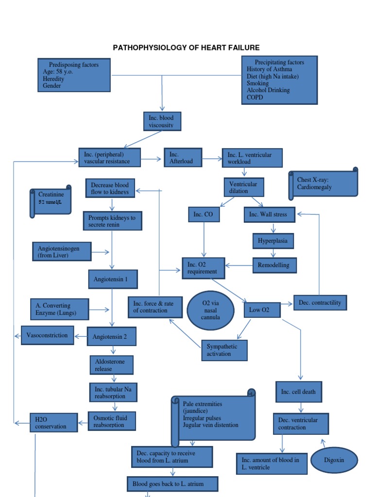 Pathophysiology of Heart Failure | PDF | Heart Failure | Atrium (Heart)