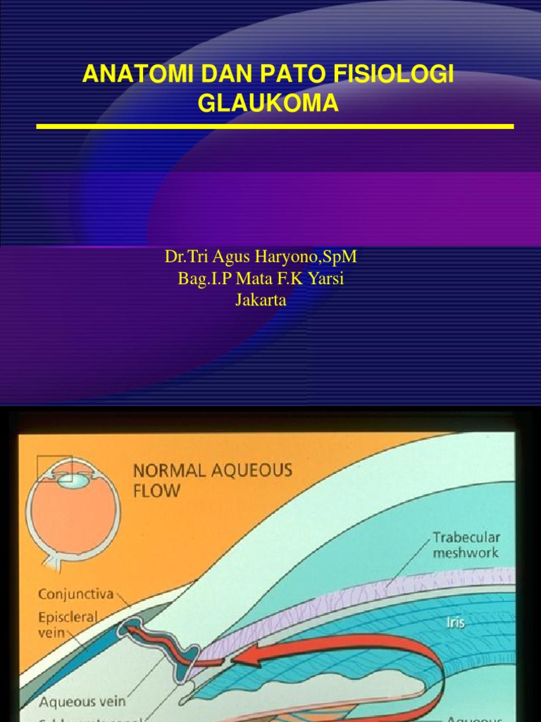 BIOKIMIA ALURAN HUMOR AKUOS DAN MEKANISMENYA | PDF
