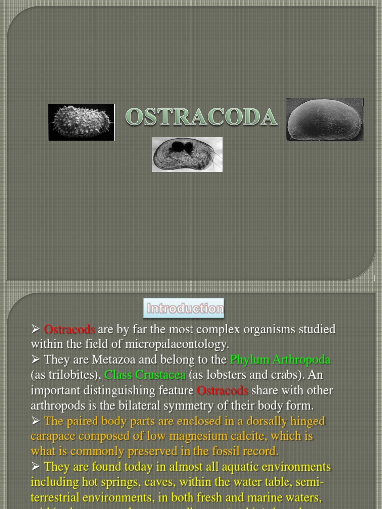 Ostracoda | Anatomical Terms Of Location | Earth & Life Sciences