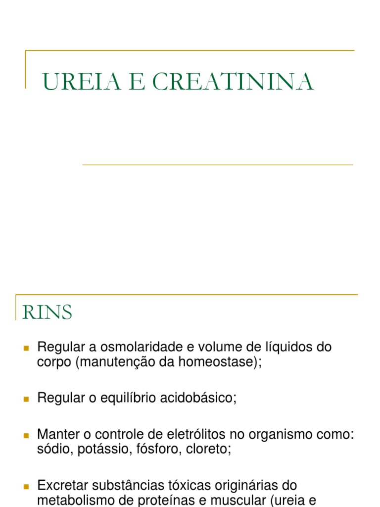 Uréia e Creatinina - Final 2 | PDF | Creatinina | Rim