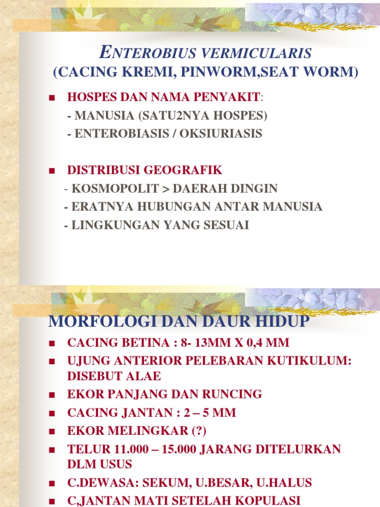 Enterobius Vermicularis | PDF