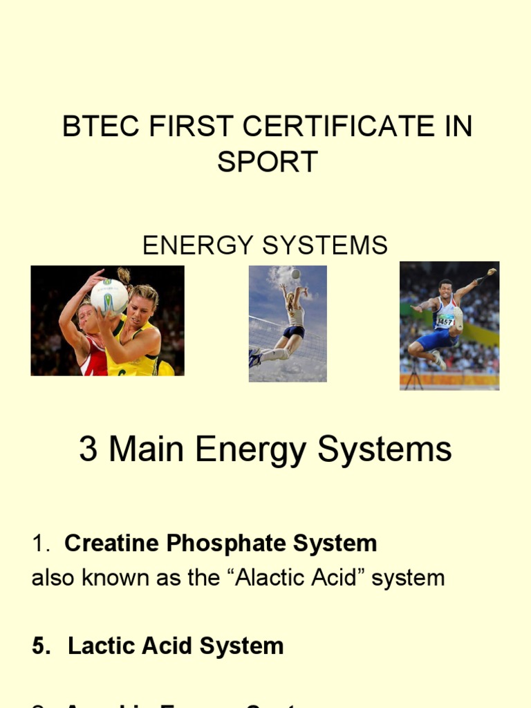 Btec First Certificate in Sport Energy Systems 3 Main | PDF | Aerobic ...