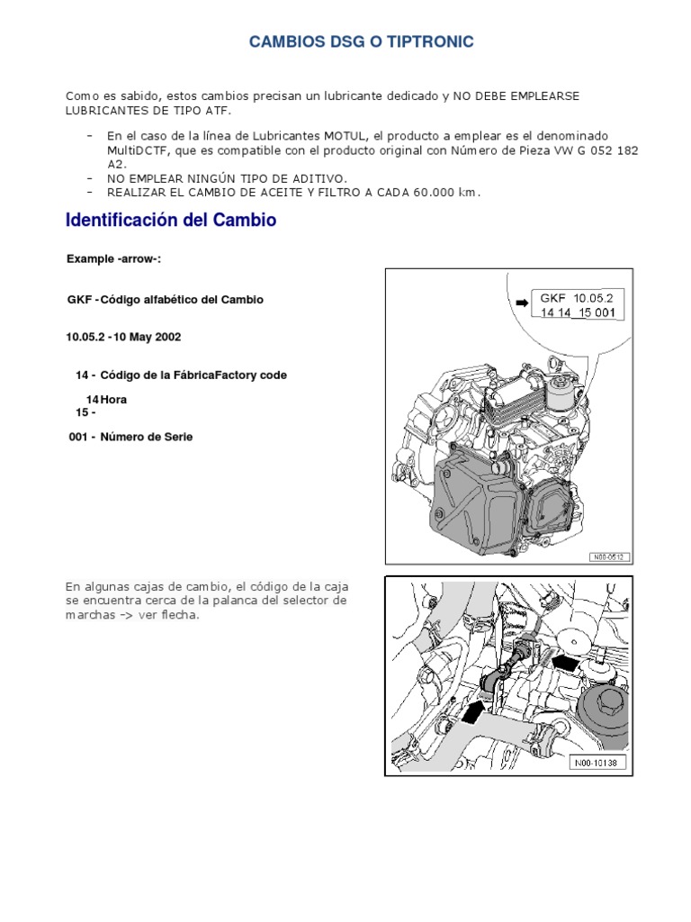 Instructivo Cambio de Aceite para Cajas DSG o S-Tronic de 6 Velocidades | PDF | Tornillo ...