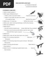 Tennessee Tree Identification Guide | PDF | Trees | Oak