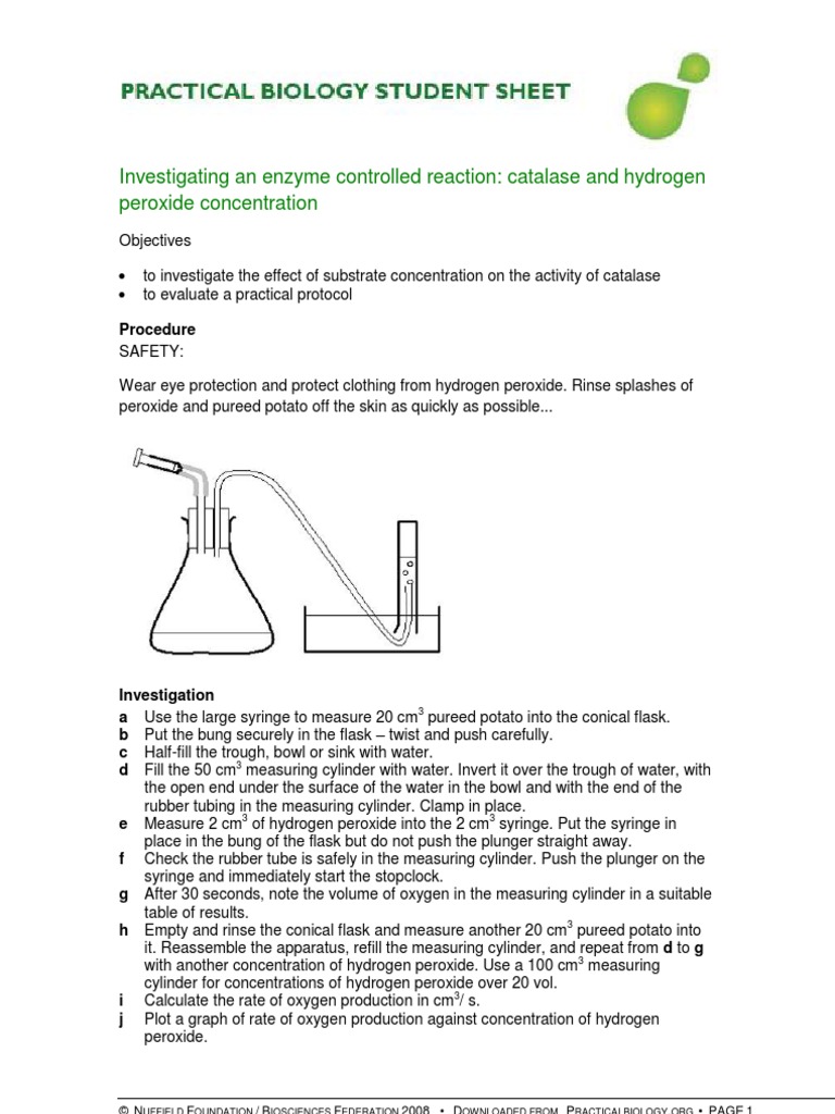 Catalase Reaction With Hydrogen Peroxide