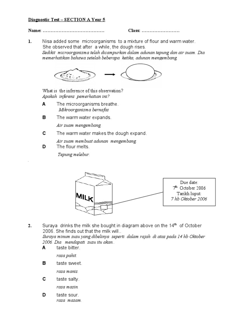 Year 5 Diagnostic Test on Science Concepts | PDF