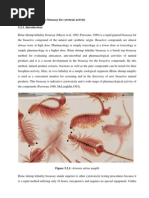 Brine Shrimp Hatching Experiment Guide | PDF | Experiment