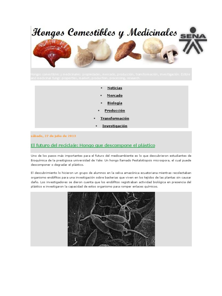 Hongos Comestibles y Medicinales UNIDAD 3 | PDF | Hongo | Sistema inmune