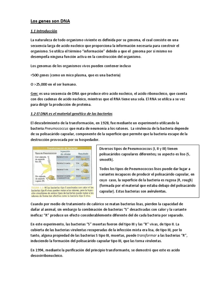Resumen Genes IX - Capitulo 1 | PDF | Adn | Mutación