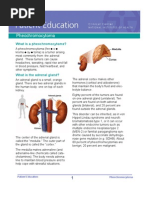Plasma Metanephrine Test Guide | PDF | Endocrine System | Medical ...