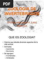 Priapulida | PDF | Anatomía | Protostomas
