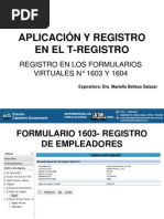 Formulario de La Tss | PDF | Gobierno | Economias