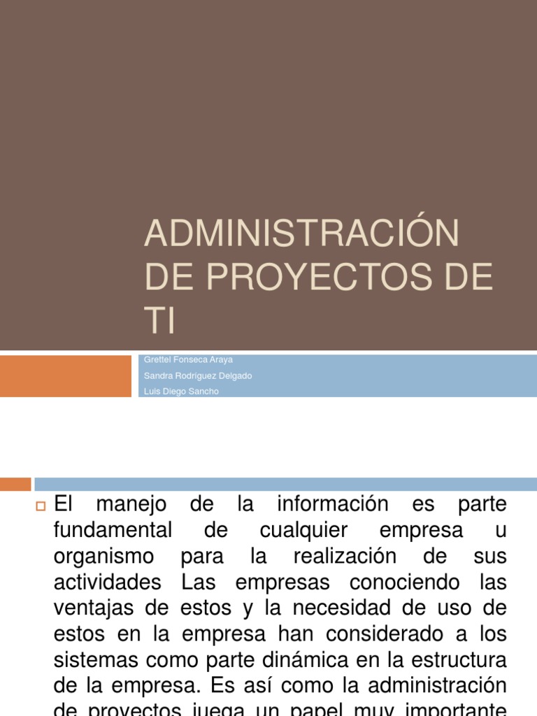 Administración de Proyectos de TI | PDF | Sistema de informacion | Software