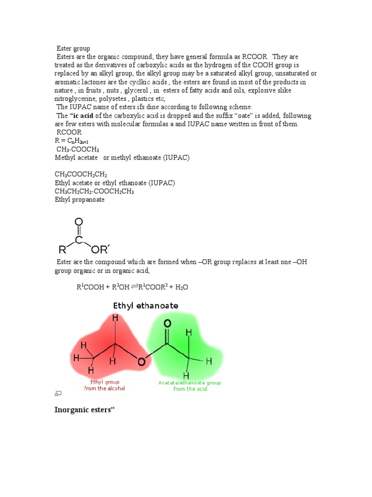 Ester Group | PDF