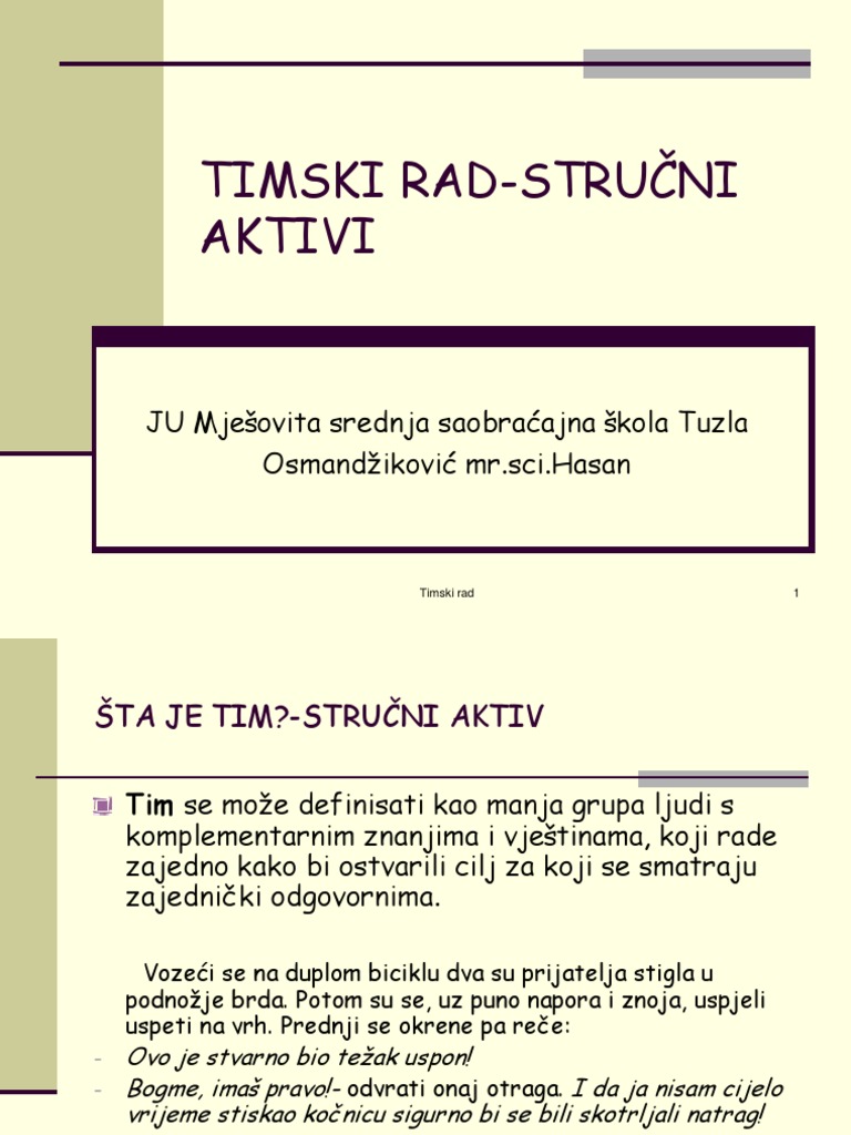 Timski Rad | PDF