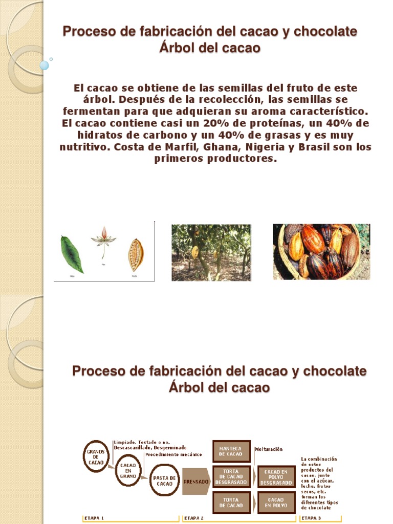 Proceso de fabricación del cacao y chocolate