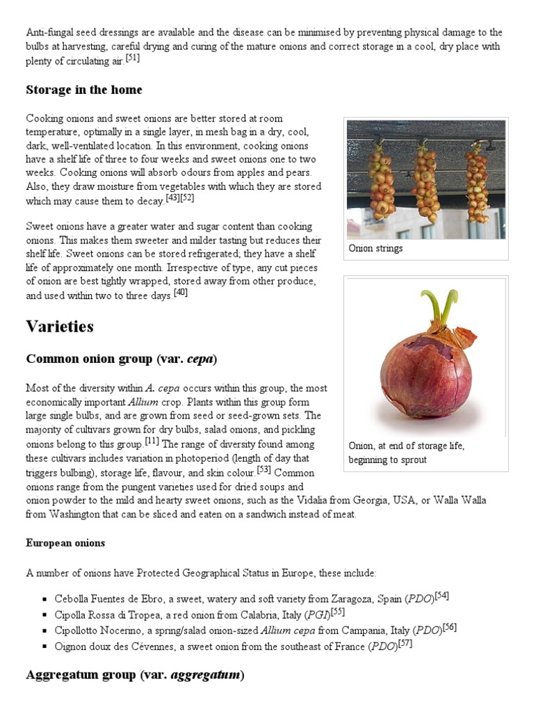 Onion - Wikipedia, The Free Encyclopedia2 | PDF | Onion | Vegetables