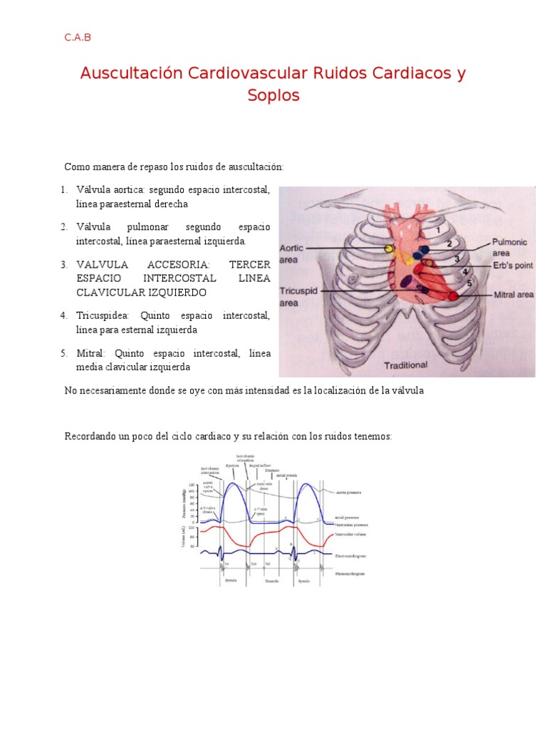 13.Ruidos_Cardiacos | Corazón | Medicina Interna
