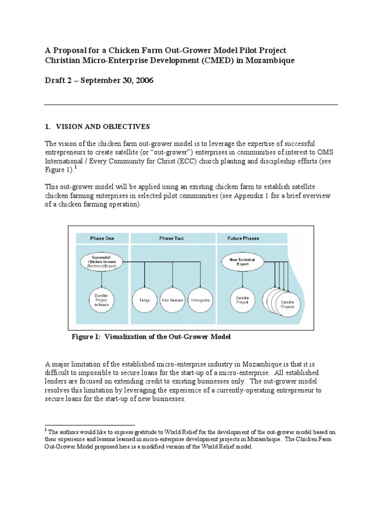 Chicken Farm Out-Grower Model Proposal | PDF | Loans | Expert