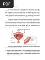 Patofisiologi STROKE Iskemik Dan Hemoragik | PDF | Sains & Matematika