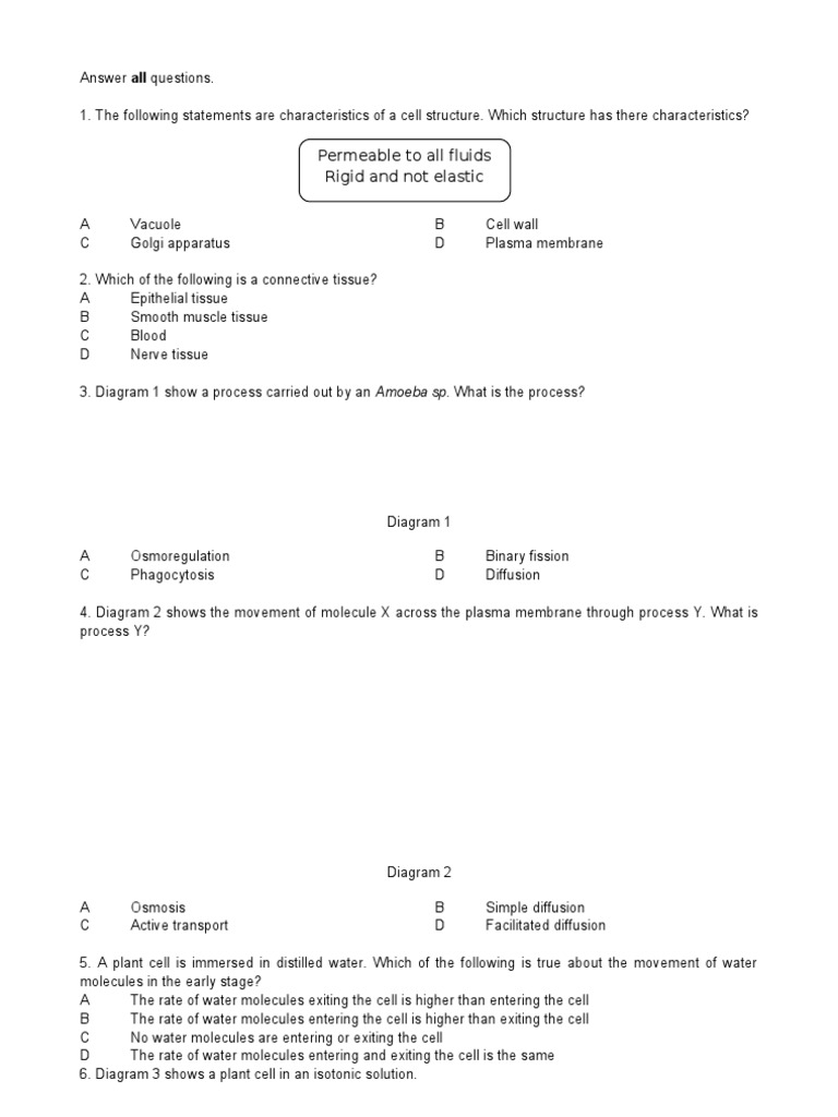 Paper 1 Biology Form 5 | PDF | Meiosis | Respiratory System