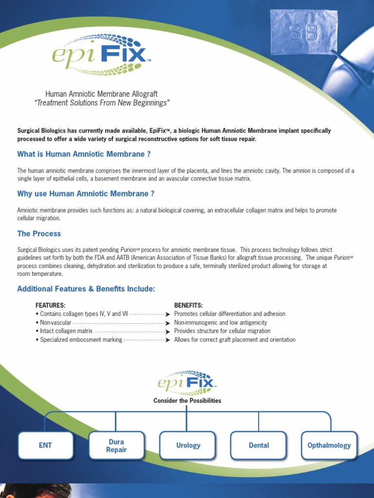 epifix brochure | Cell Membrane | Epithelium | Free 30-day Trial | Scribd