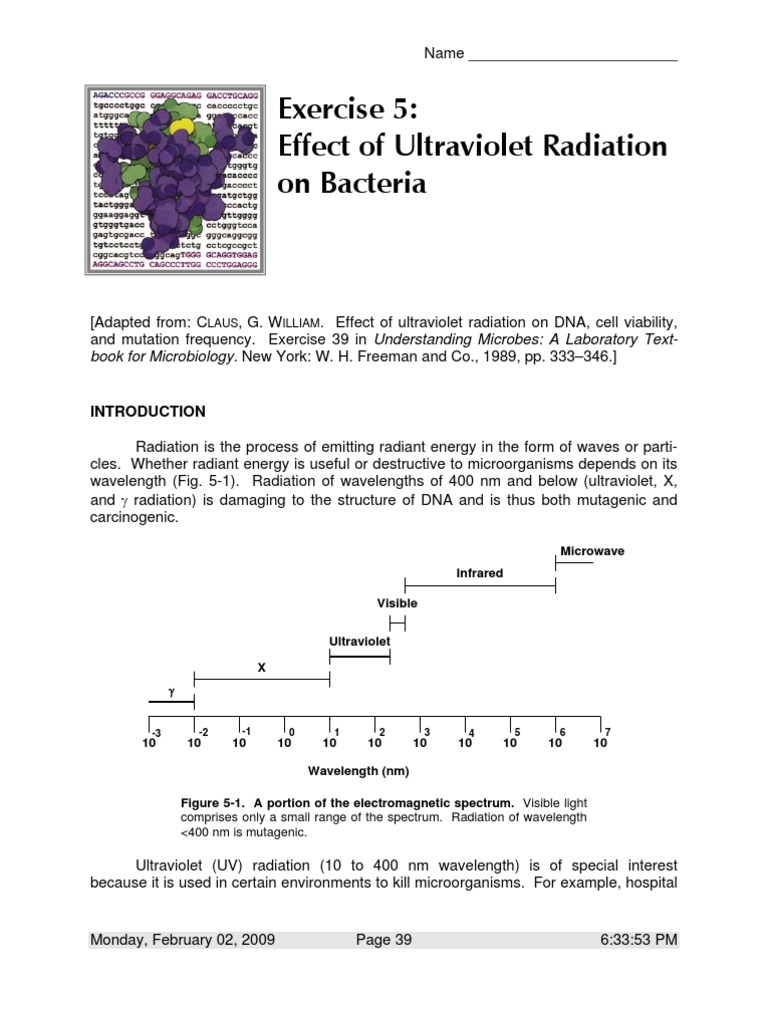 UV Radiation Effects on E. coli Growth | PDF | Ultraviolet | Radiation