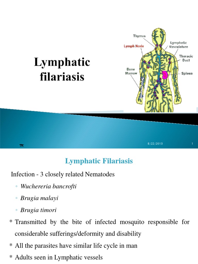 Lymphatic Filariasis Infection | PDF | Lymphatic System | Microbiology