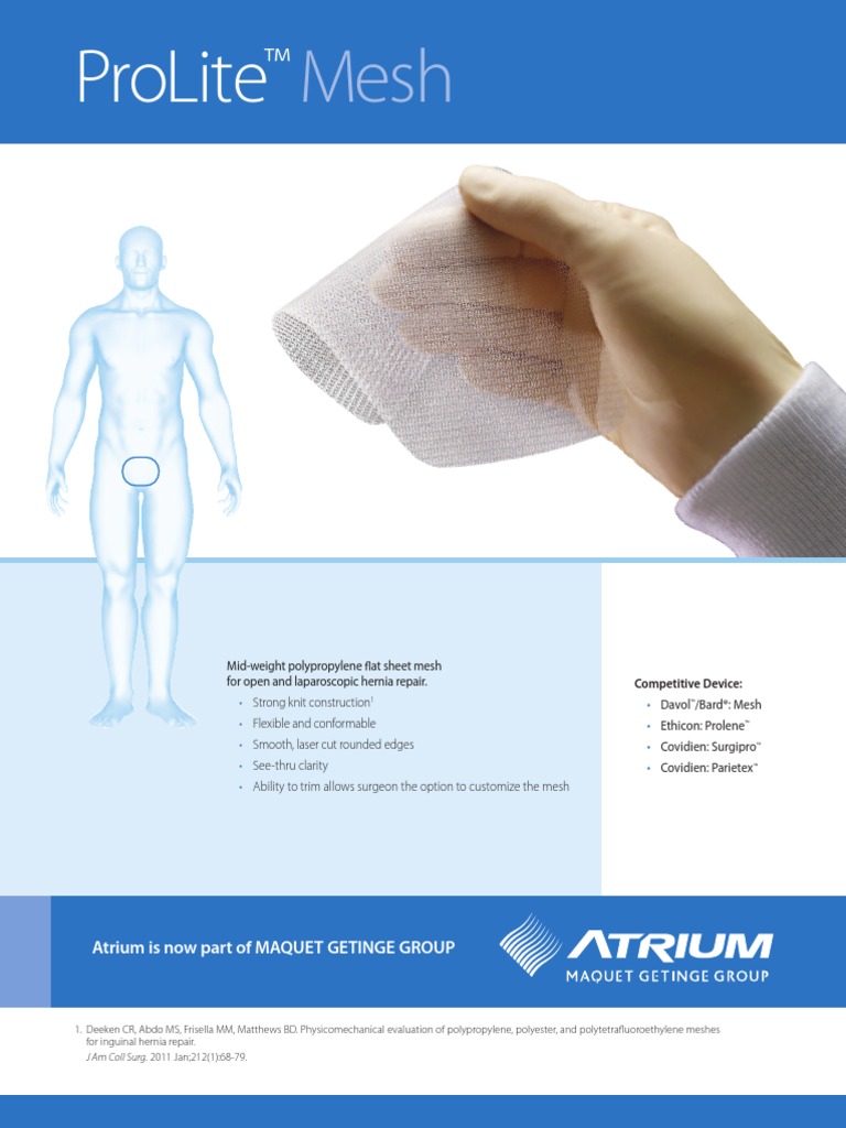ProLite Mesh Folder Insert 0667 | PDF | Business