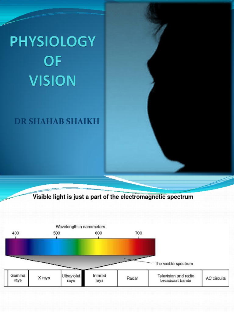 Physiology of Vision by DR Shahab | PDF | Visual System | Retina