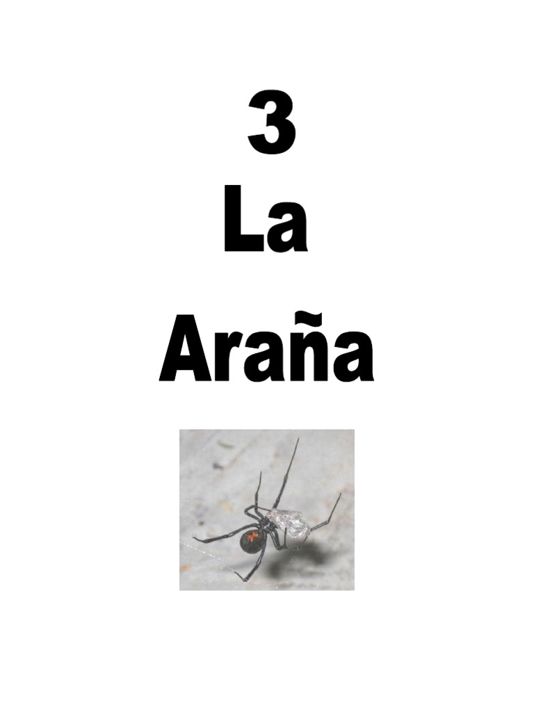 Leccion 3 Arana | PDF | Araña | Amor