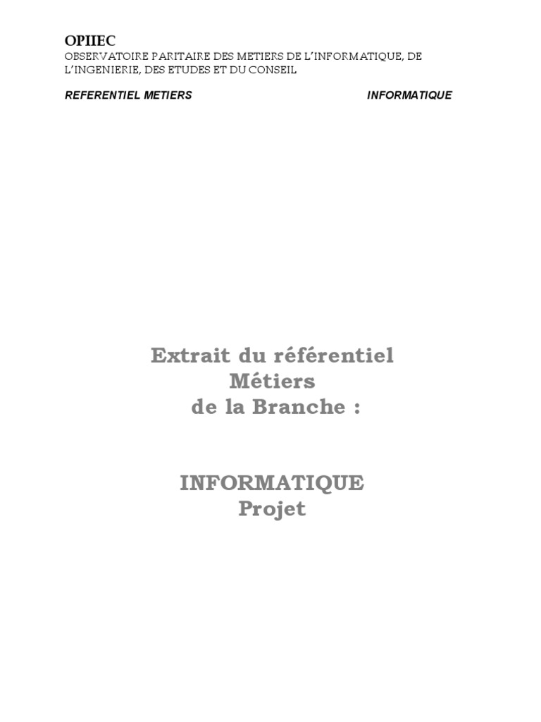 Projet Informatique | PDF