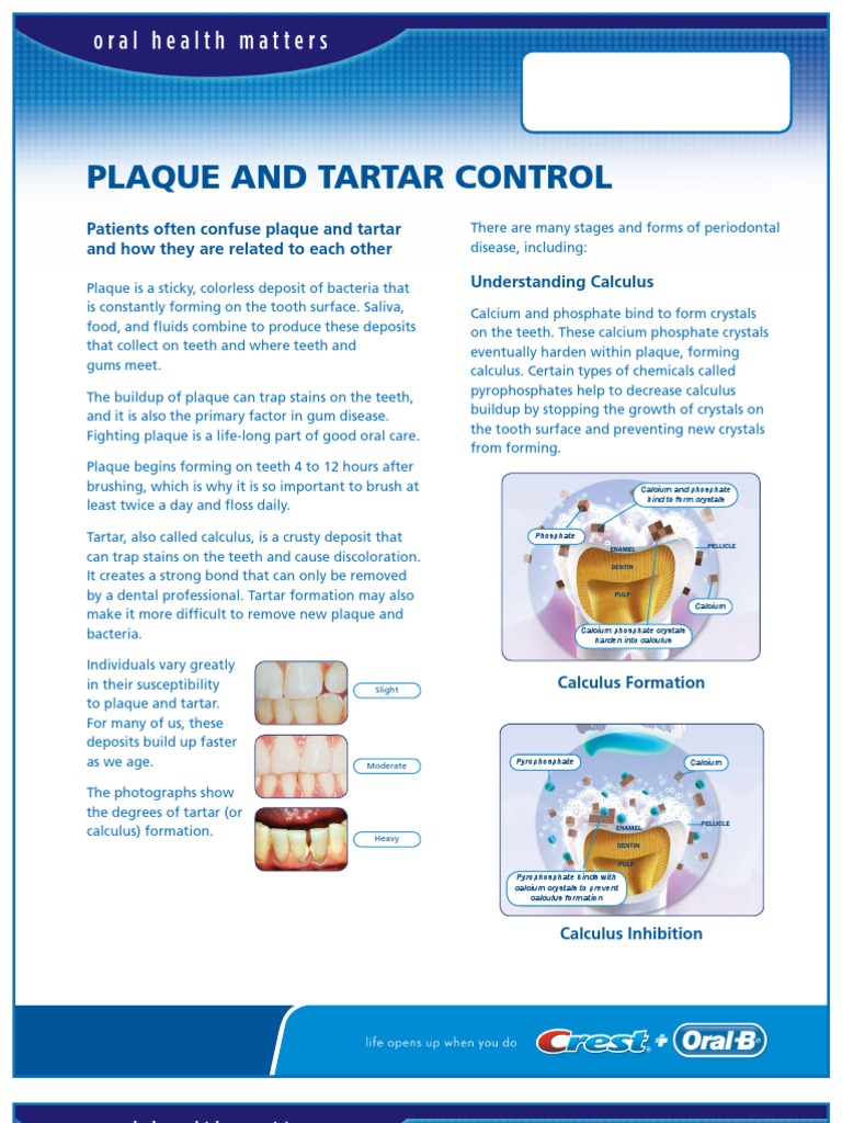 Plaque | PDF | Human Tooth | Dentistry